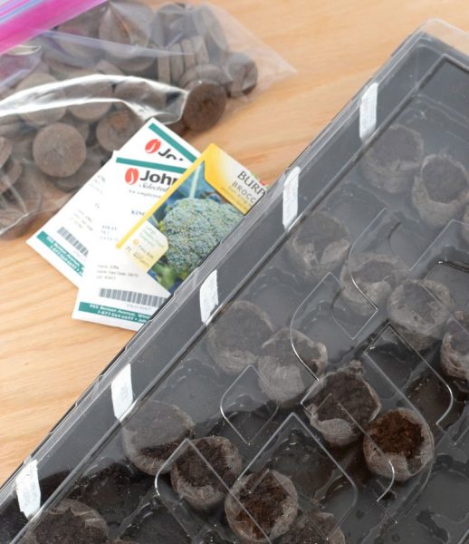 How to Start Seedlings Indoors with Peat Pellets - Isabel Eats