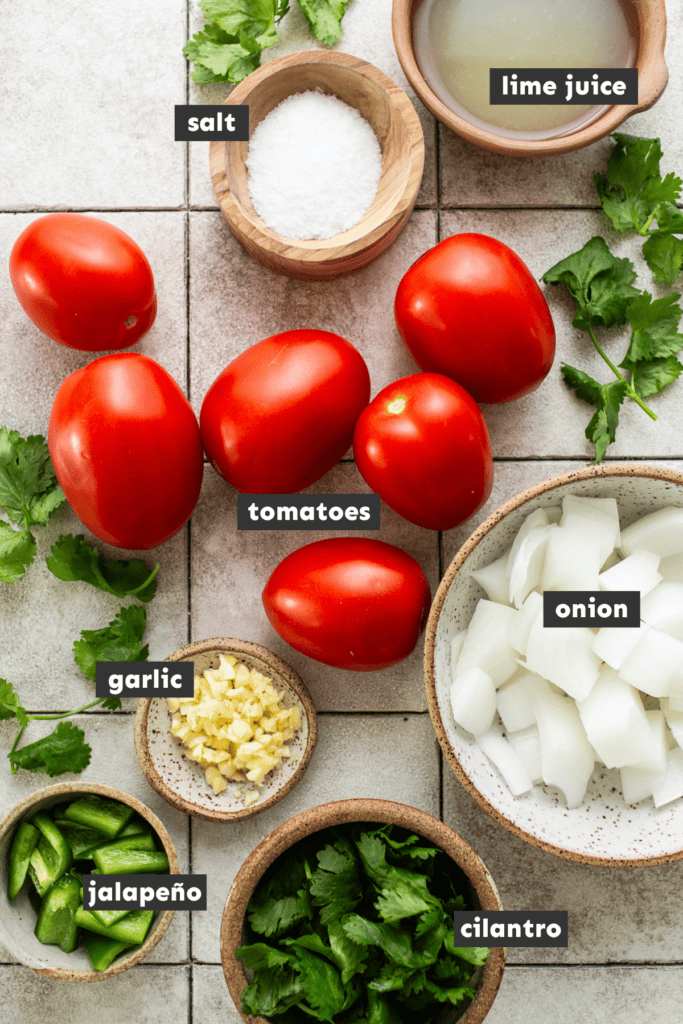 Homemade Salsa - Isabel Eats