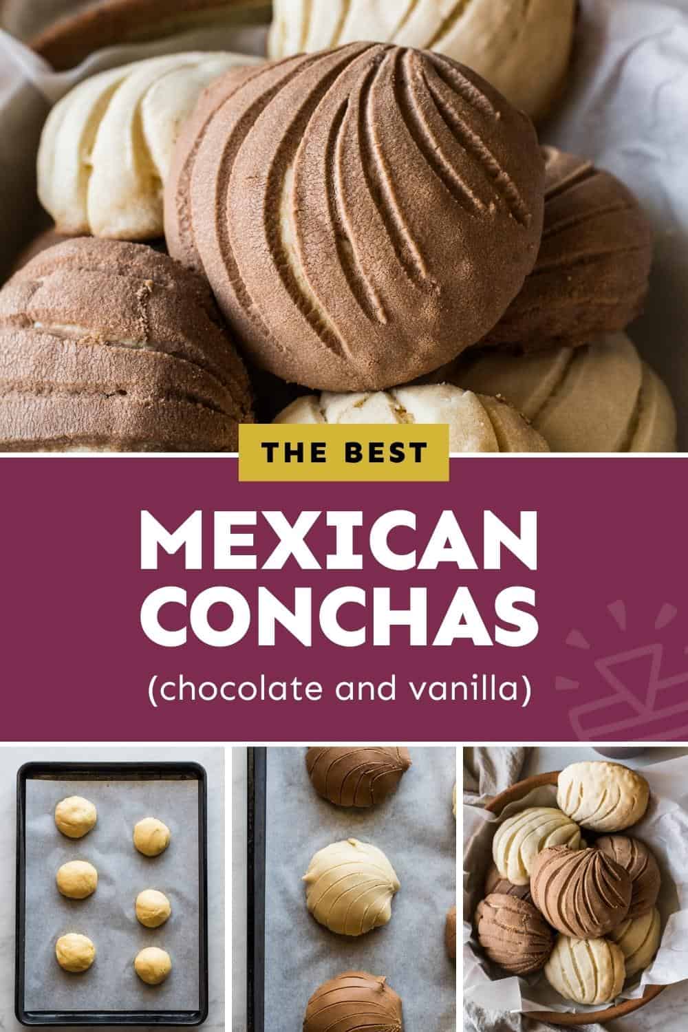 Conchas (Mexican Pan Dulce) - Isabel Eats