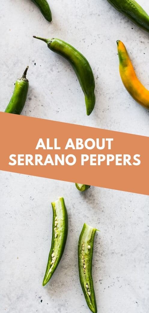 Serrano Peppers 101 - Isabel Eats