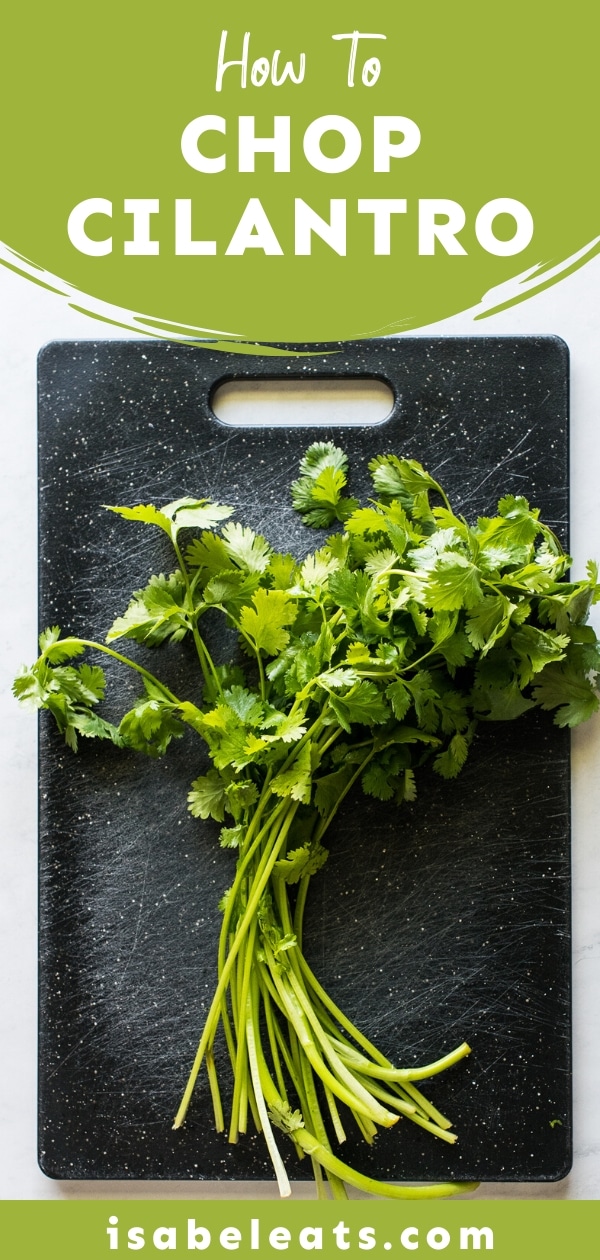 How to Chop Cilantro | Isabel Eats