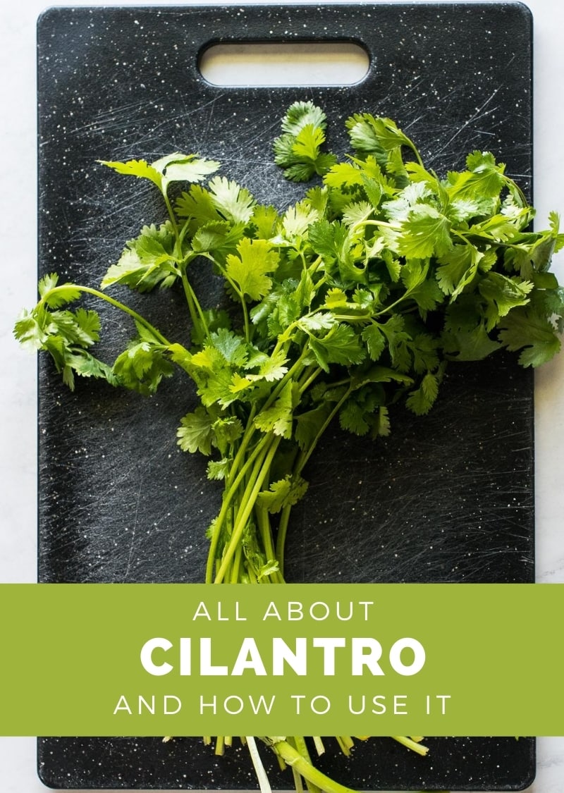 Cilantro and How To Use It - Isabel Eats