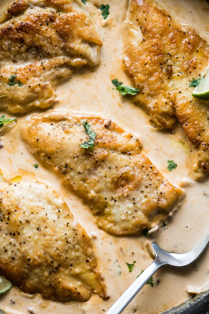 Pollo en Crema de Chipotle - Isabel Eats
