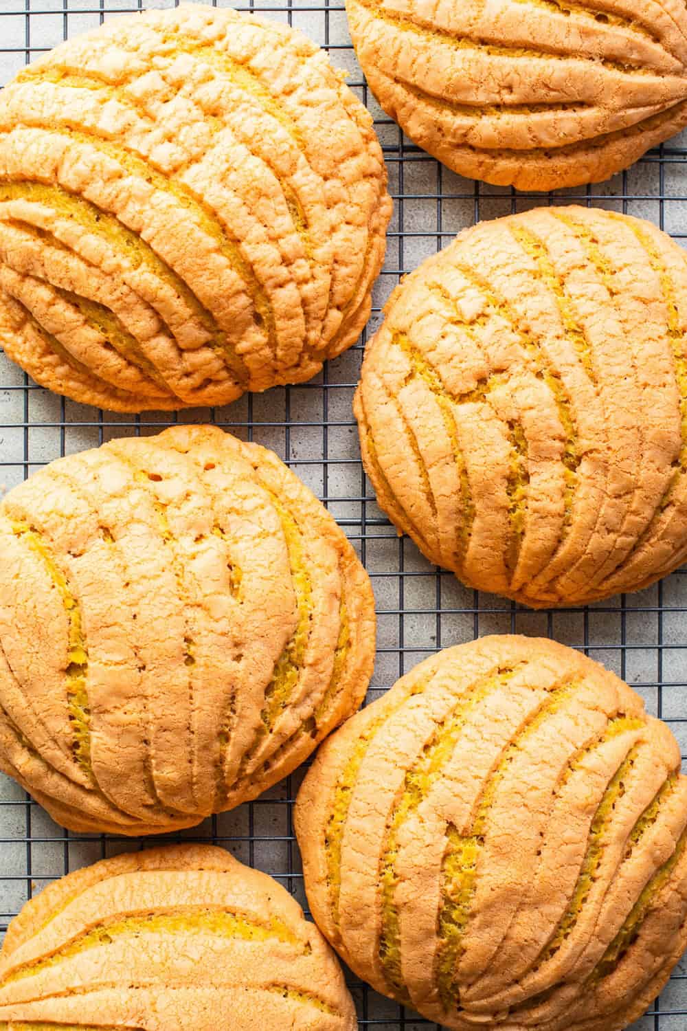Pumpkin Conchas - Isabel Eats