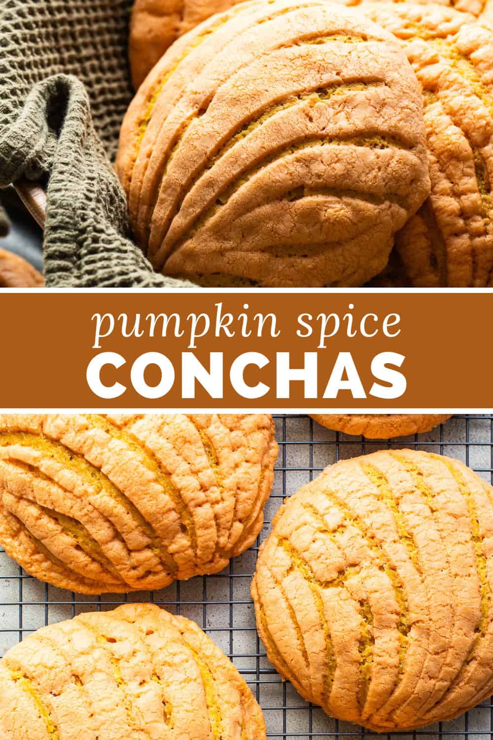Pumpkin Conchas - Isabel Eats