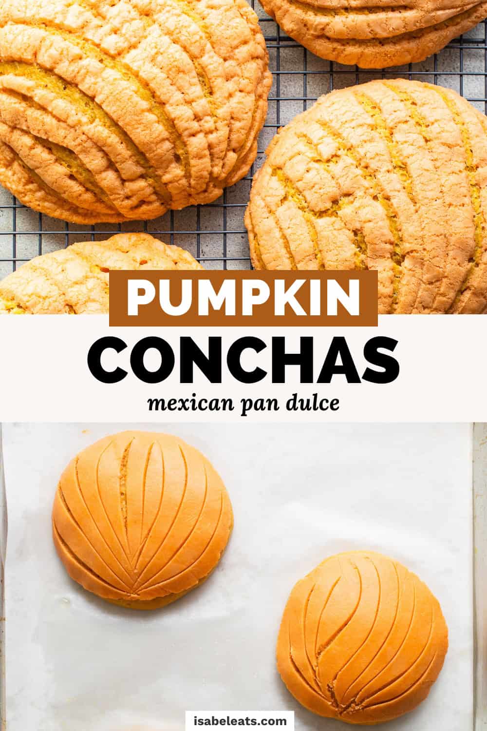 Pumpkin Conchas - Isabel Eats