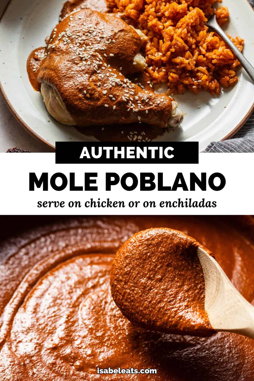 Mole Sauce (Mole Poblano) - Isabel Eats