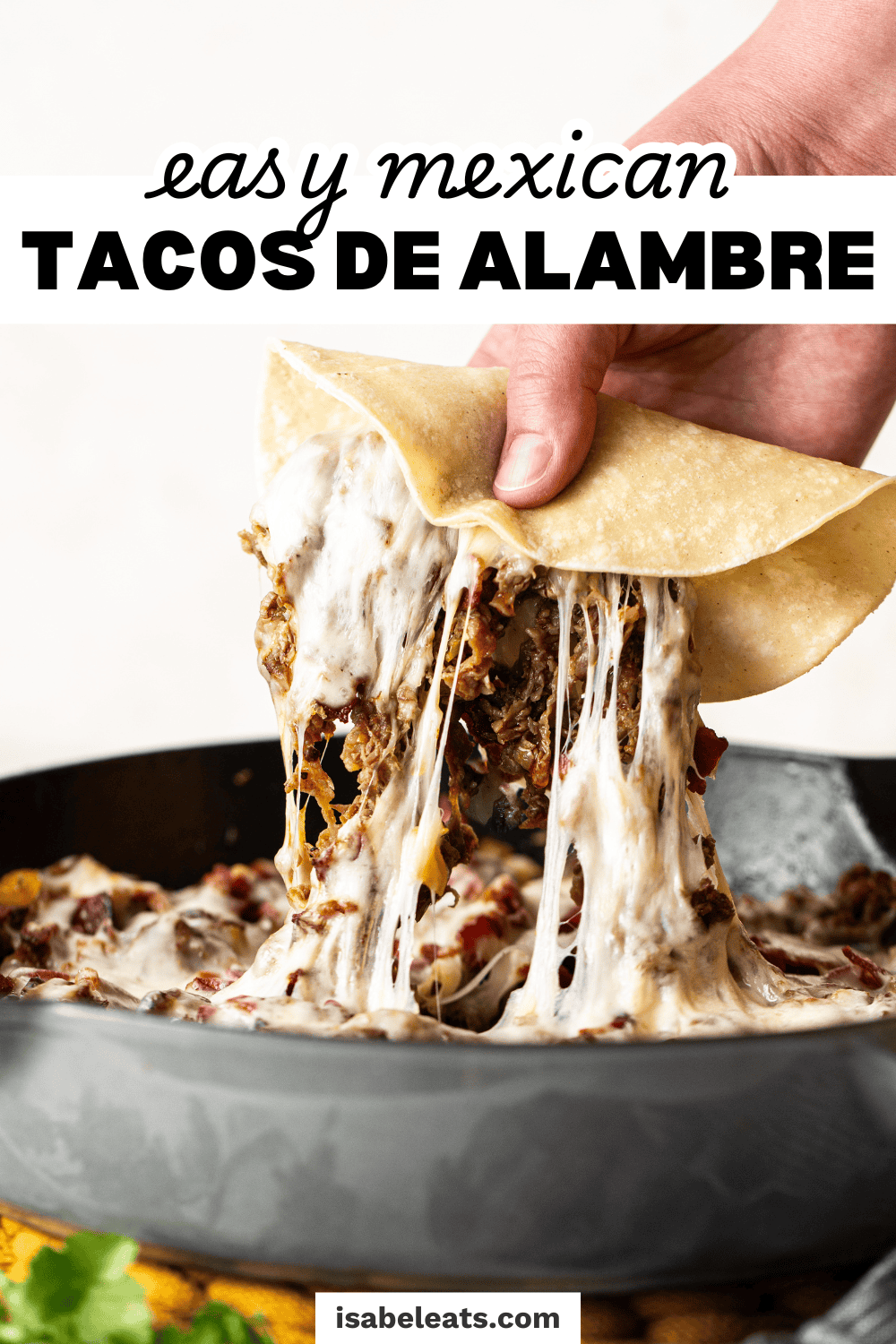 Tacos de Alambre - Isabel Eats